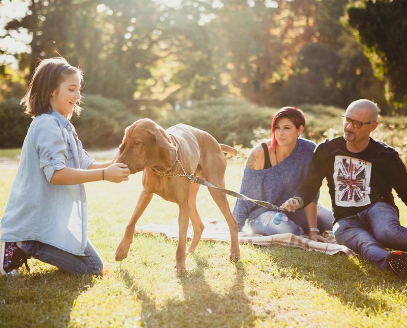 Types of Fostering – Flourish Fostering